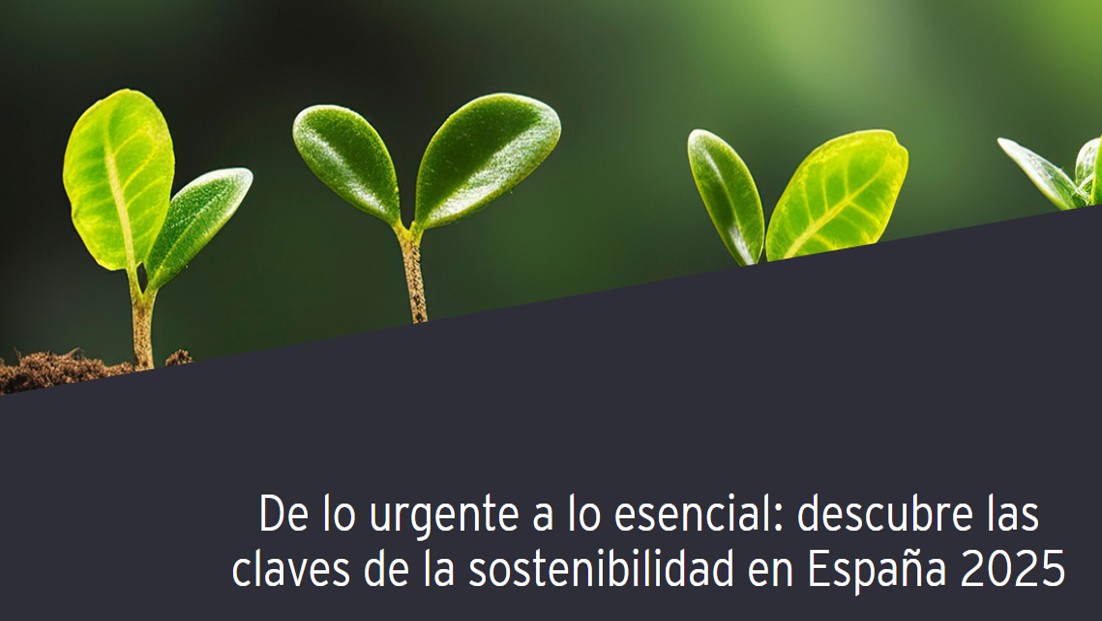 De lo urgente a lo esencial: descubre las claves de la sostenibilidad ...